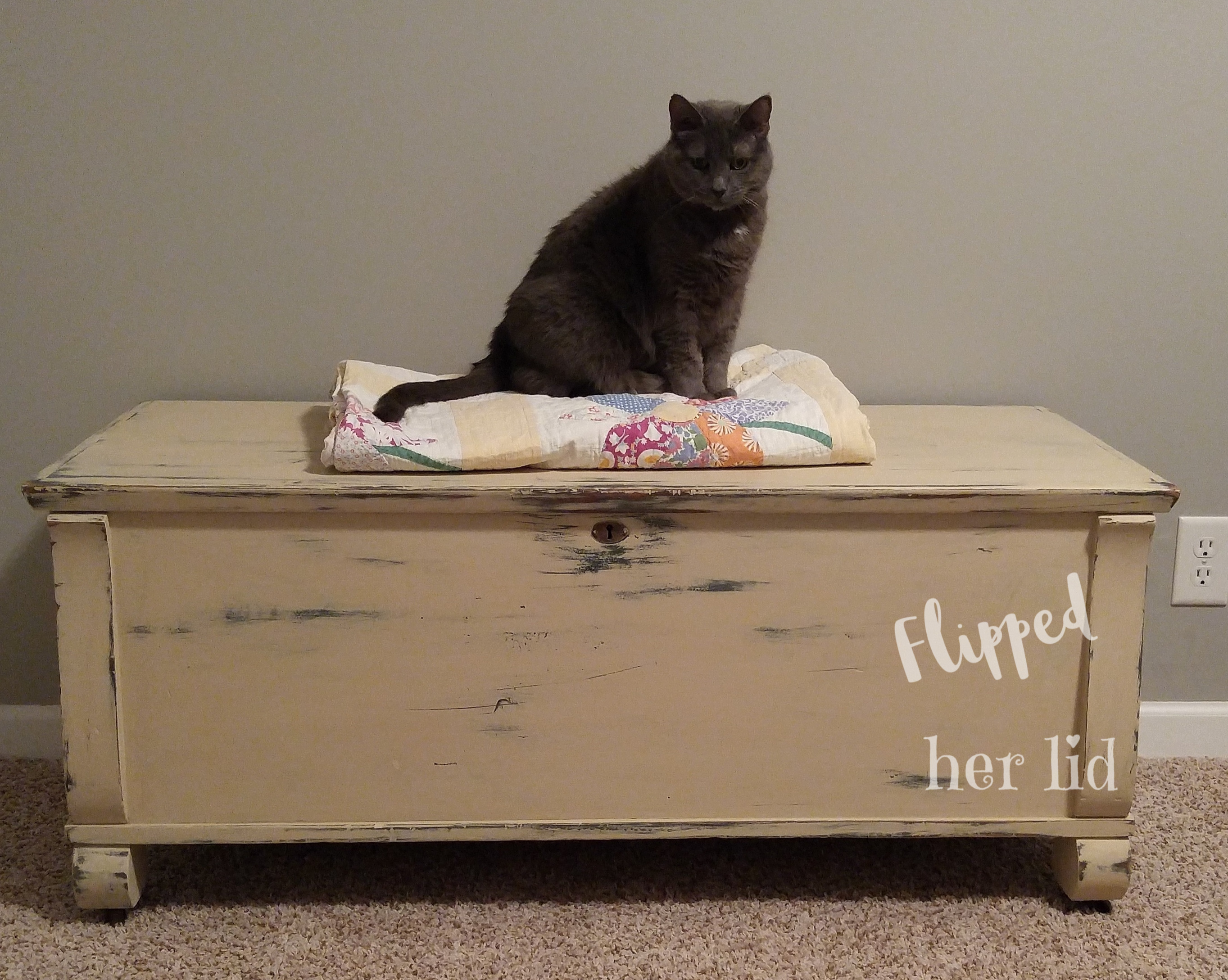 Jessie – The Antique Cedar Chest